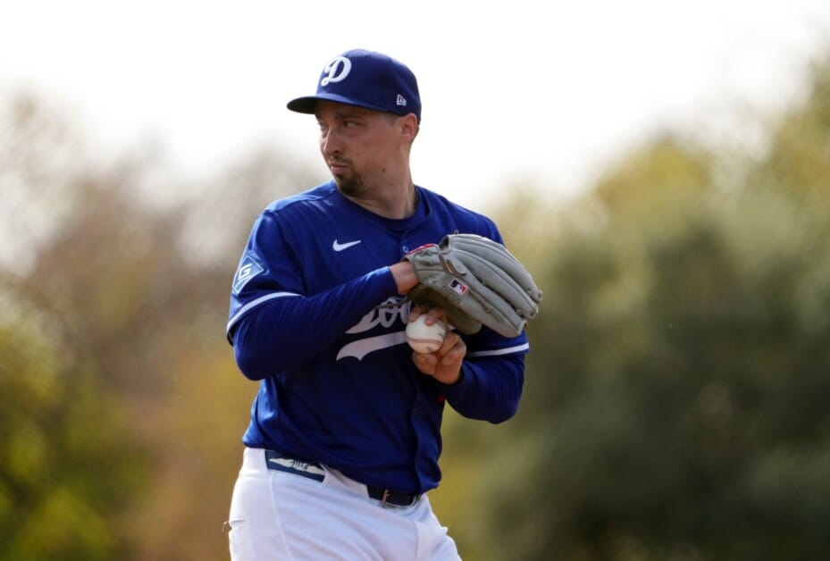 Blake Snell Update: Throwing Program Off To Encouraging Start - SportsCity.com